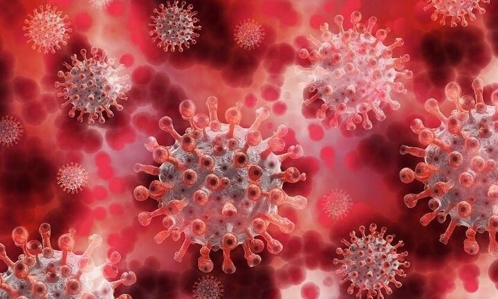 了解【CT值】COVID-19 需靠PCR檢測才能觀察